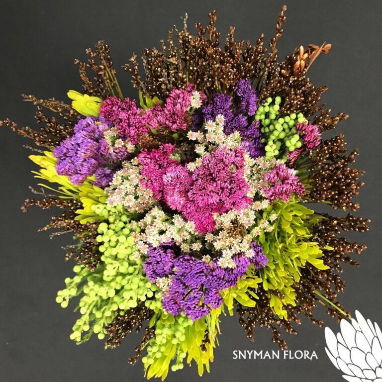 Cape Protea Wholesaler | South African Flora Distributors